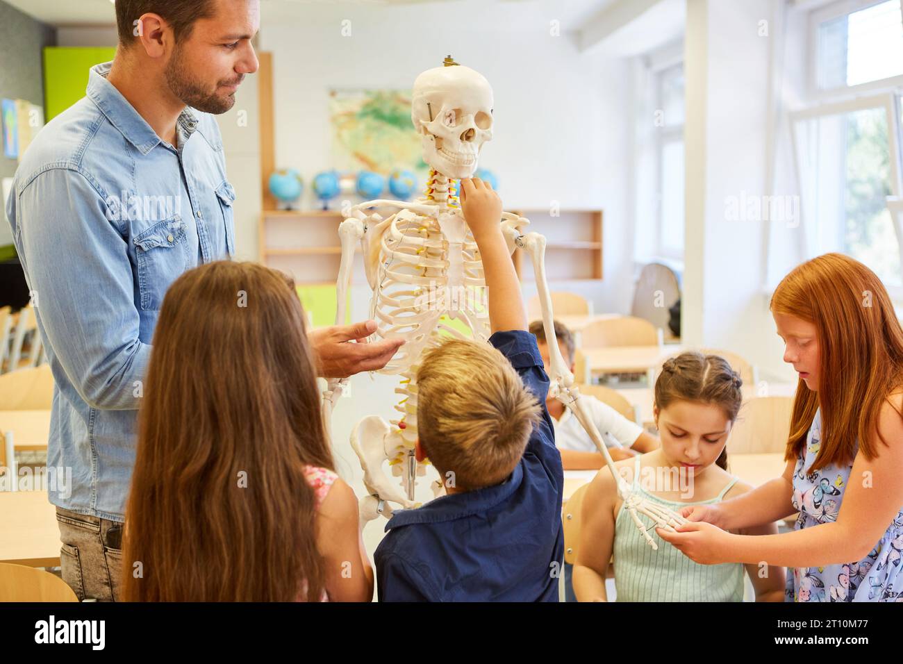 Teaching skeleton hi-res stock photography and images - Alamy