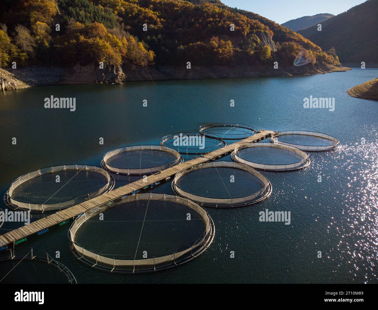 trout fish farm in the river aerial top view, Bulgaria Stock Photo - Alamy