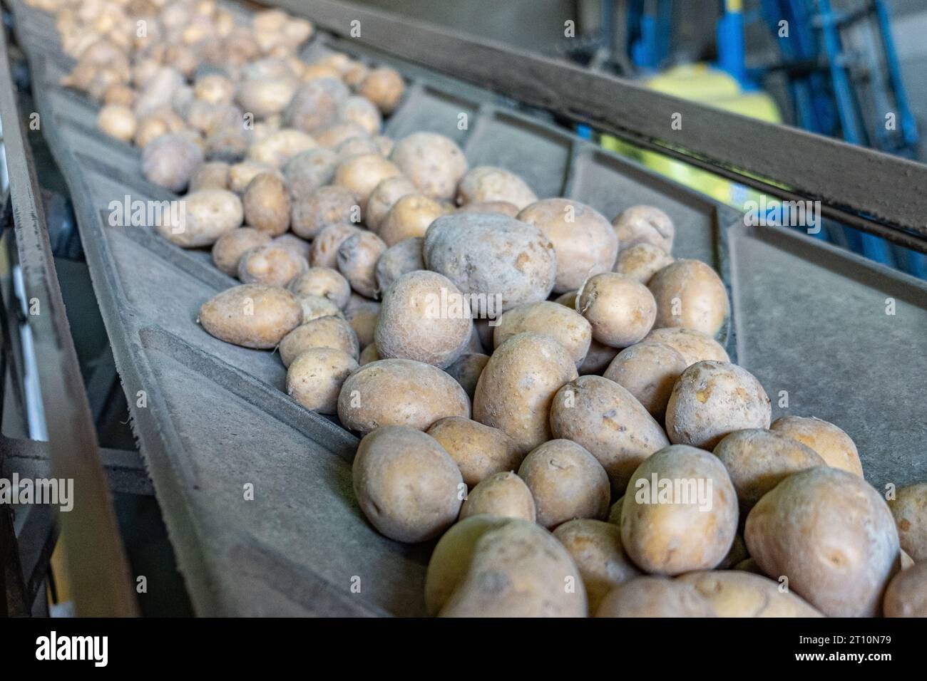 Nutrition belt hi-res stock photography and images - Alamy