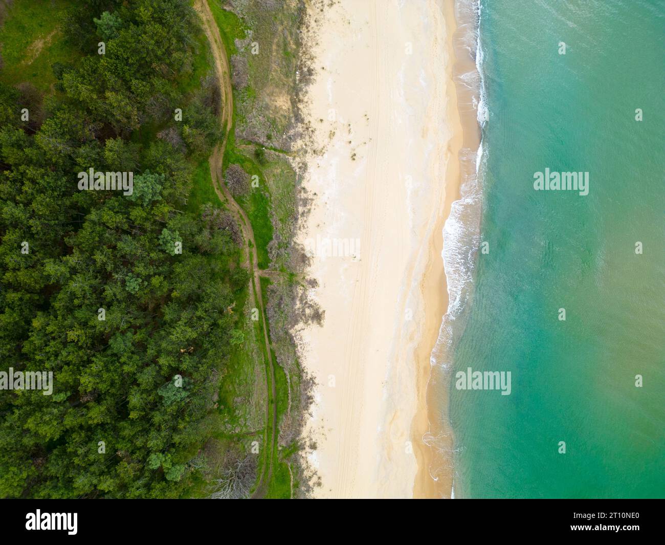 A top-down aerial view of a sandy beach, sea, and forest offers a ...