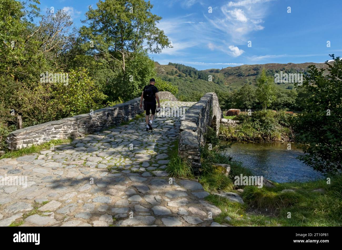 Man person walking on New Bridge across River Derwent Cumbria Way in ...