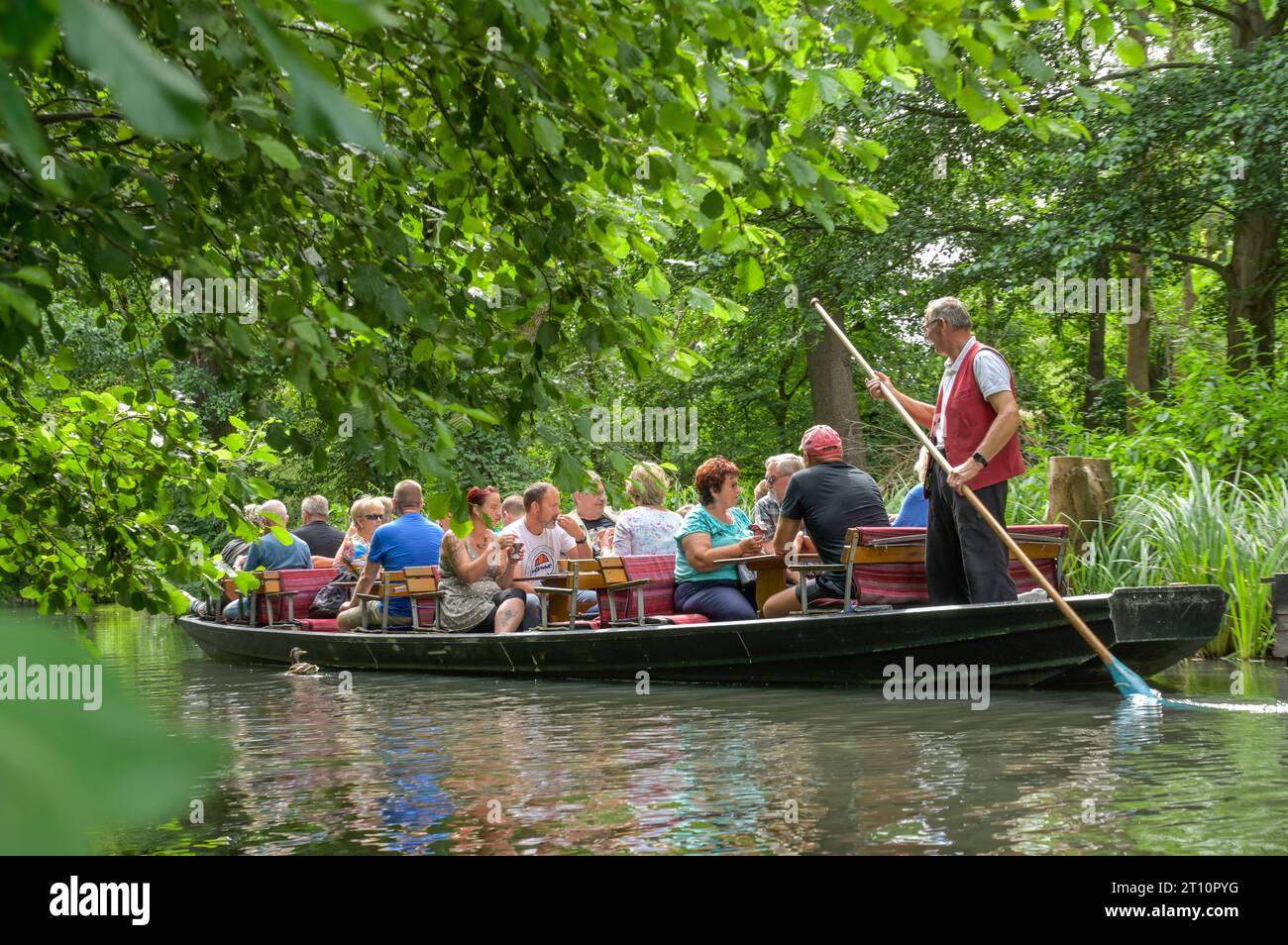 Kahnfahrt, Hauptspree bei Lehde, Wald, Spreewald, Brandenburg ...