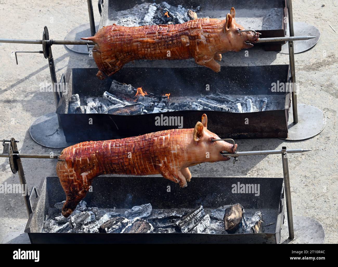 Berlin, Germany. 27th Aug, 2023. Two suckling pigs rotate on a spit ...