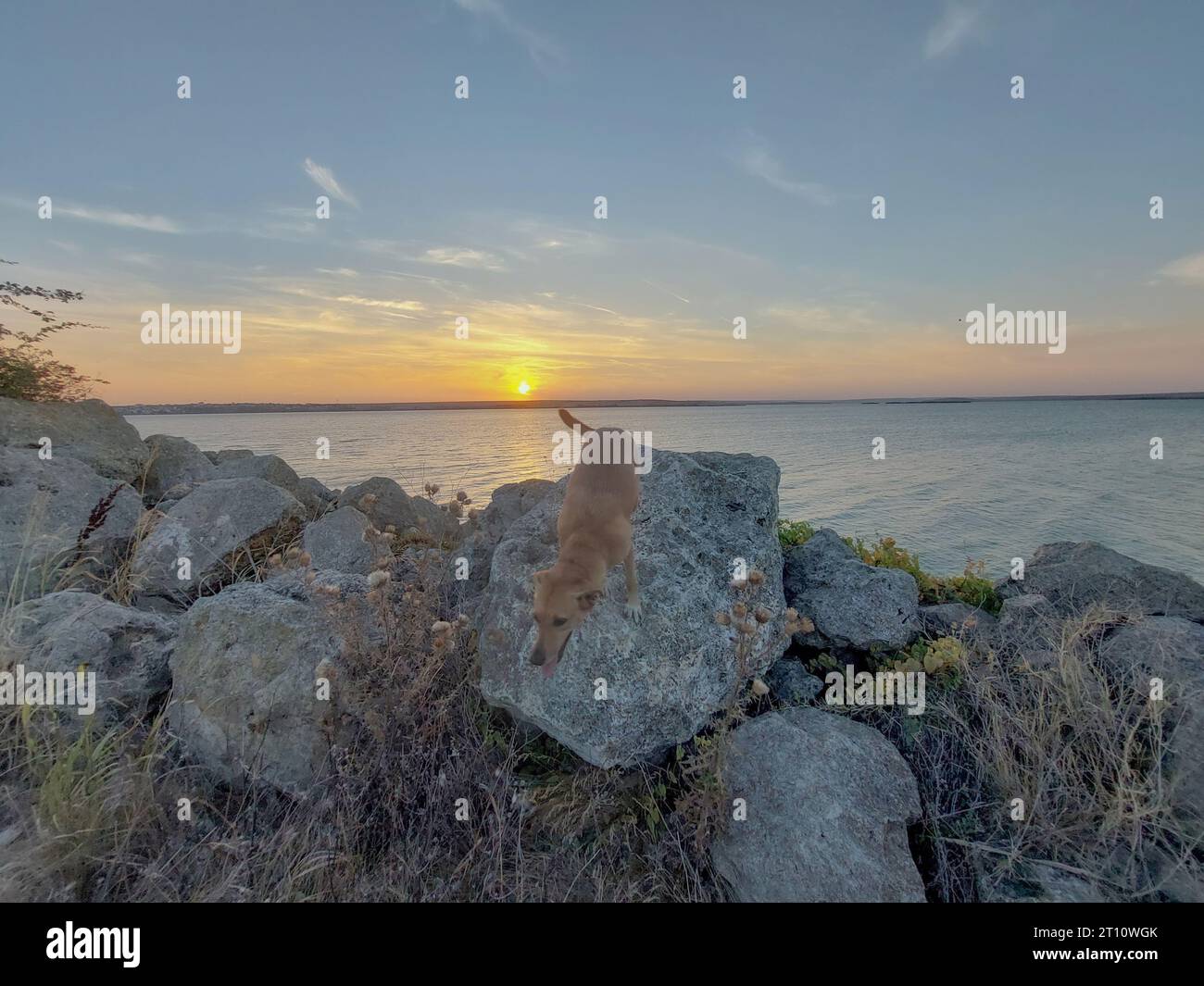 Fascinating, saturated, blue water, tranquil, fresh water, fishing ...