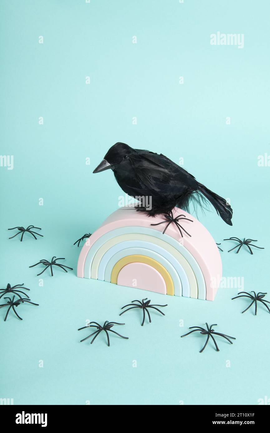 a beautiful raven taking pride of place on plastic rainbow surrounded ...
