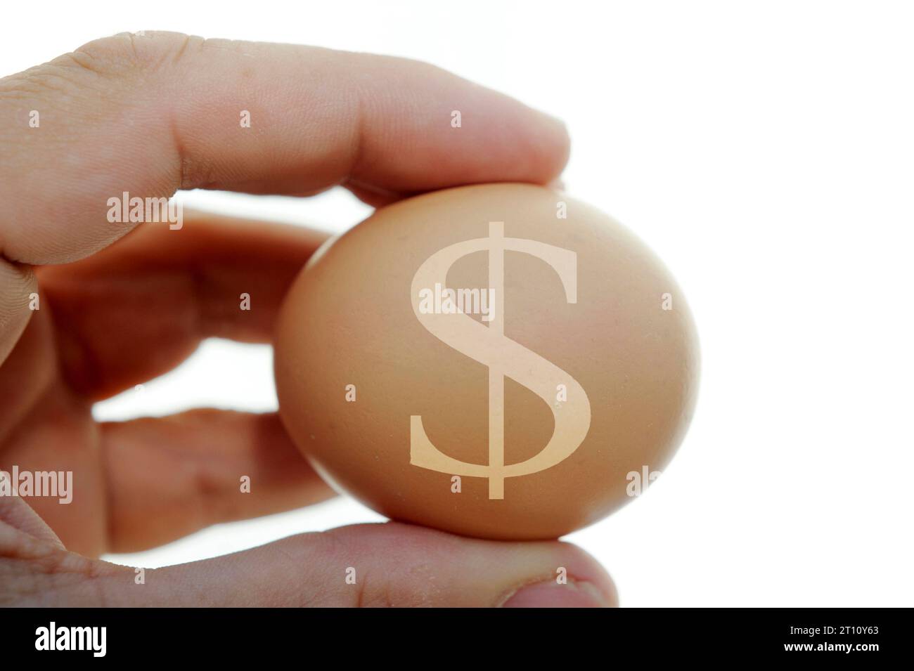Digital composite Male hand holding chickens egg with Dollar sign ...