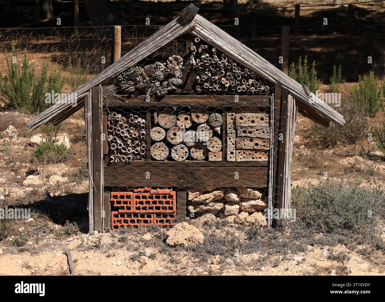 Insect house in the Natural Park of Torrevieja, Alicante, Spain Stock ...