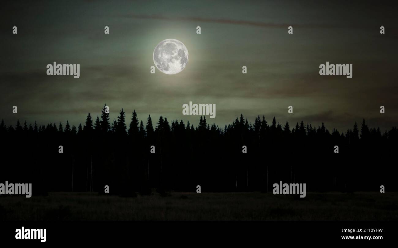 Fool moon hi-res stock photography and images - Alamy