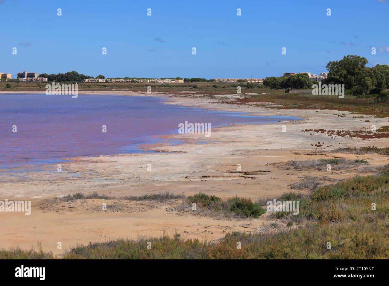 Natural Park of La Laguna Salada de la Mata y Torrevieja Stock Photo ...