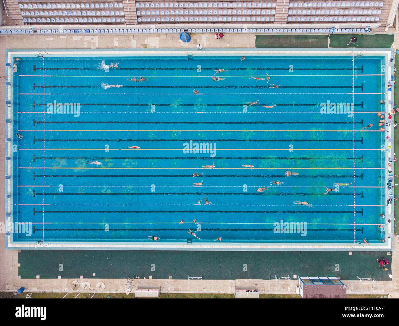 Aerial view of group of swimmers training in swimming pool. Many ...