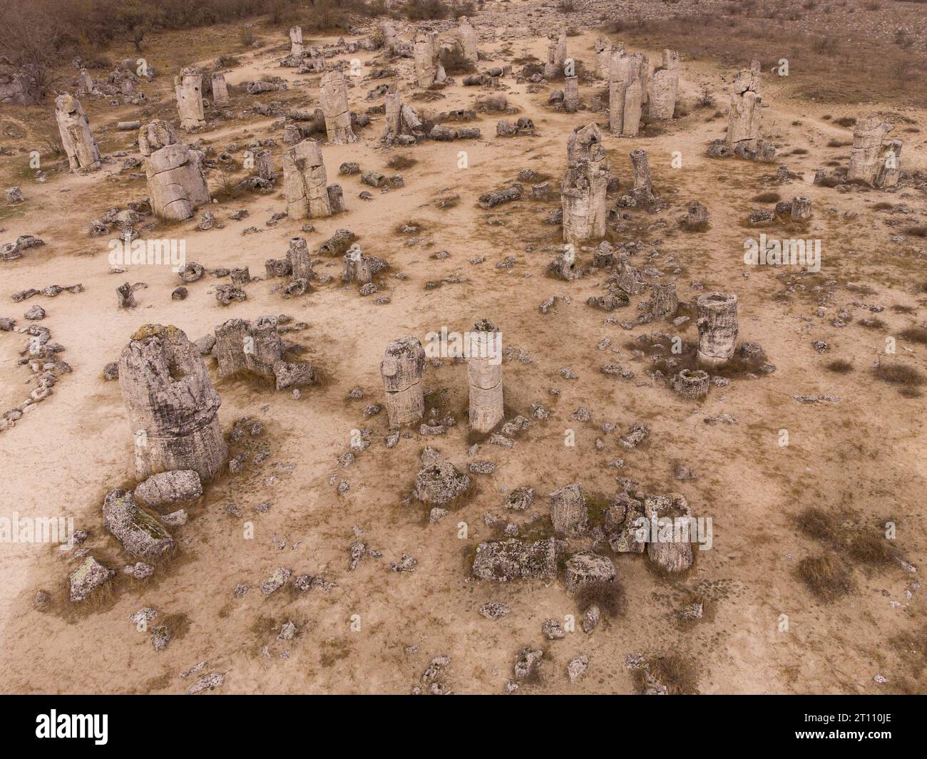 Aerial top view of Pobiti Kamani, The Stone Forest Natural Reserve near ...