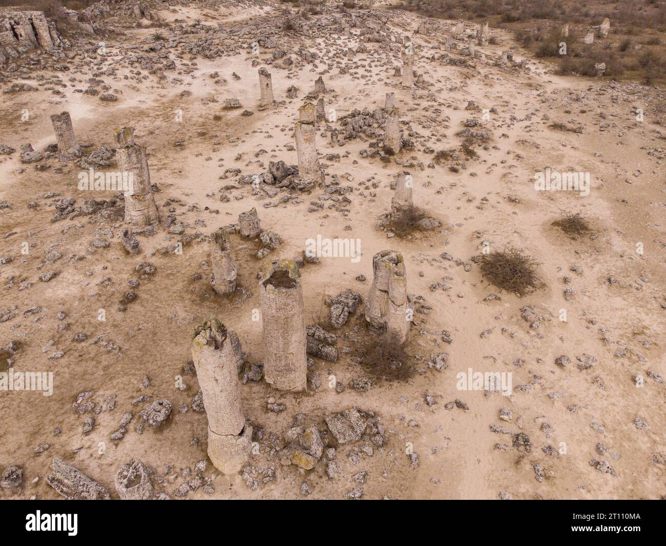 Aerial top view of Pobiti Kamani, The Stone Forest Natural Reserve near ...