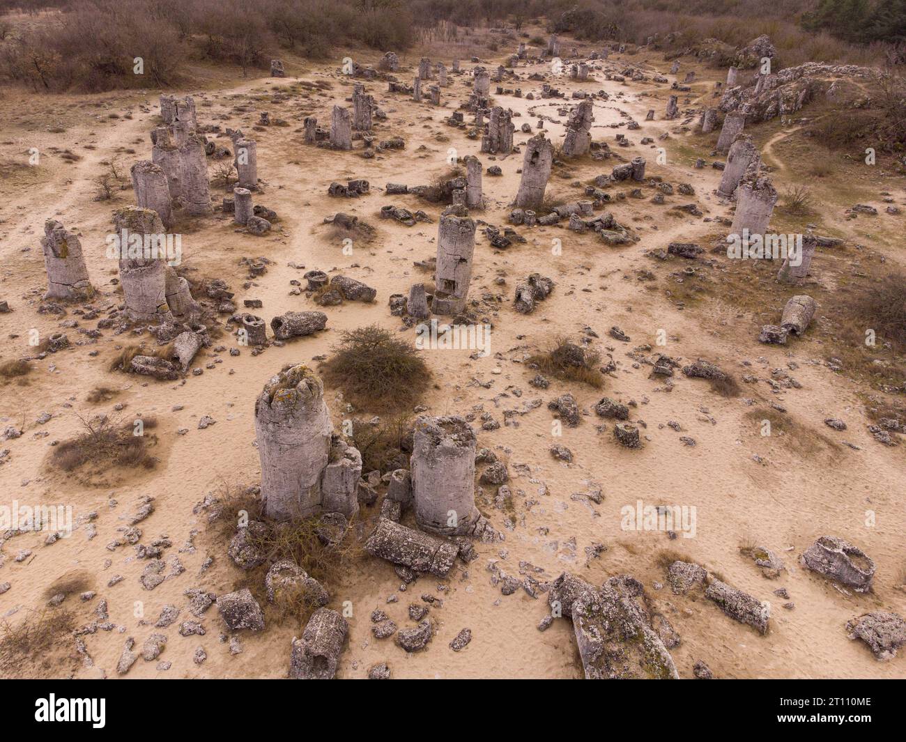 Aerial top view of Pobiti Kamani, The Stone Forest Natural Reserve near ...