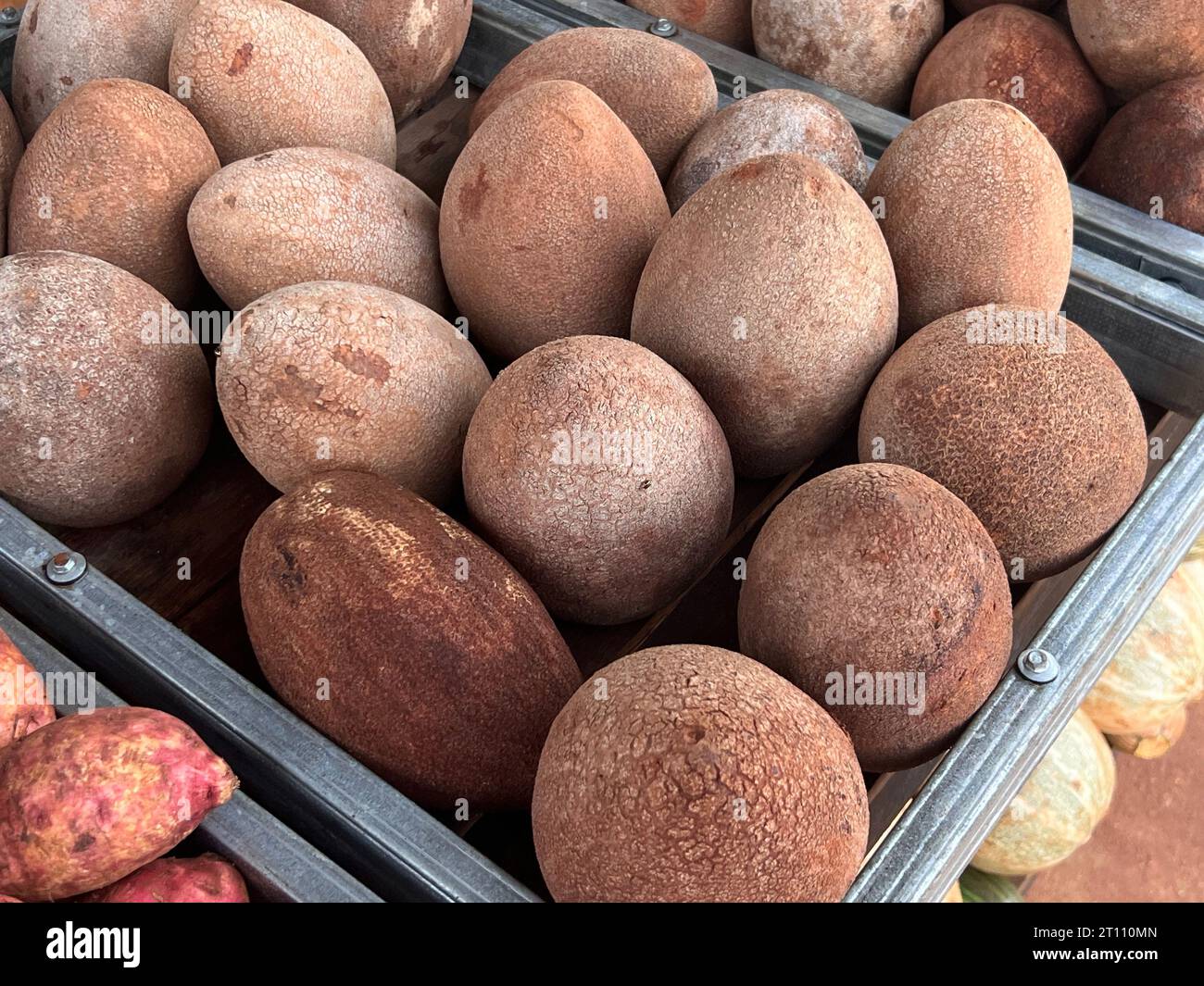 Fruit stand along cuba's roadside Stock Photo - Alamy