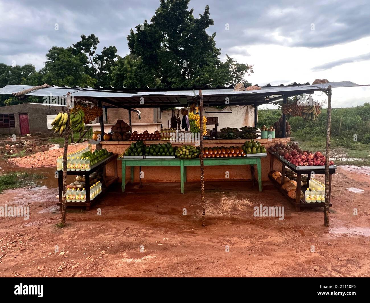 Fruit stand along cuba's roadside Stock Photo - Alamy