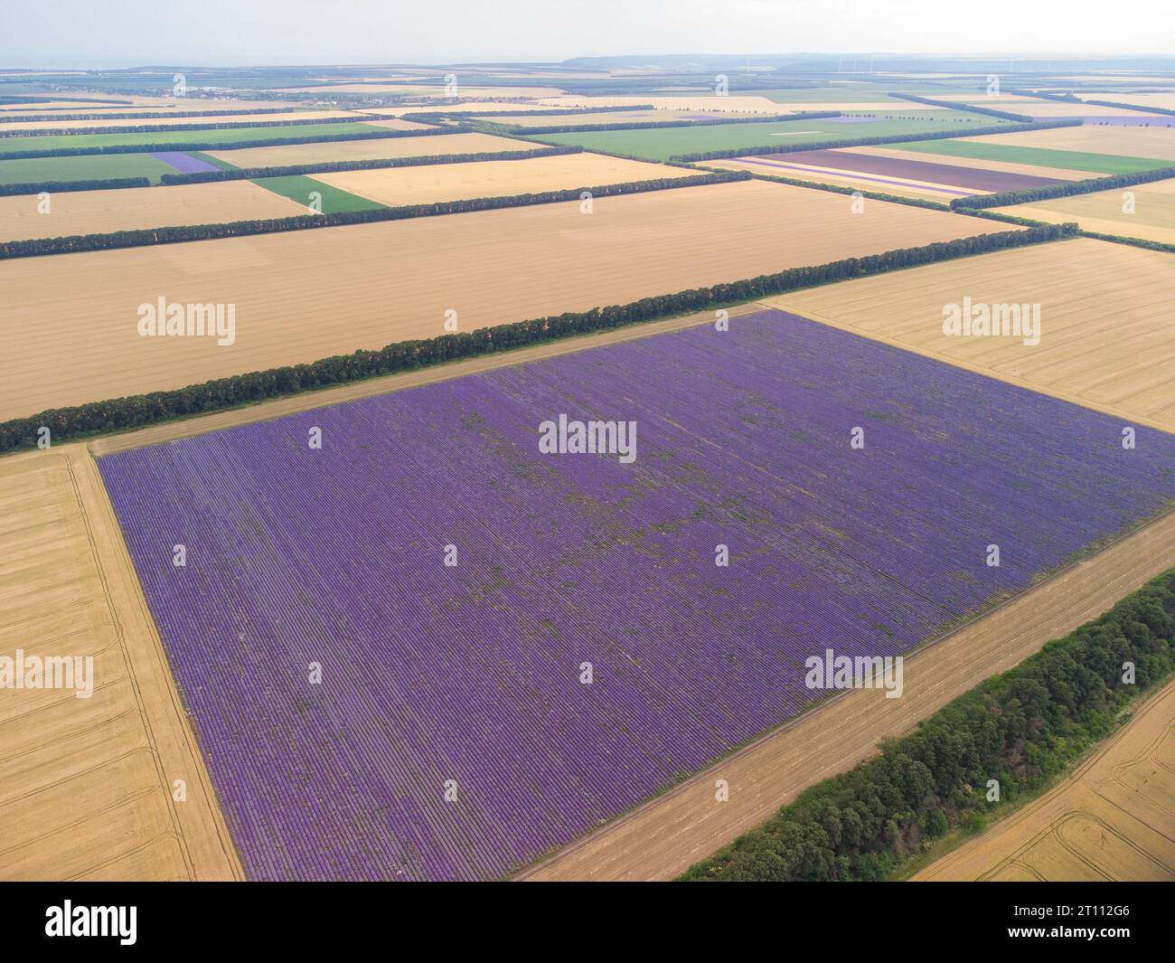 Beautiful lavender field aerial view hi-res stock photography and ...