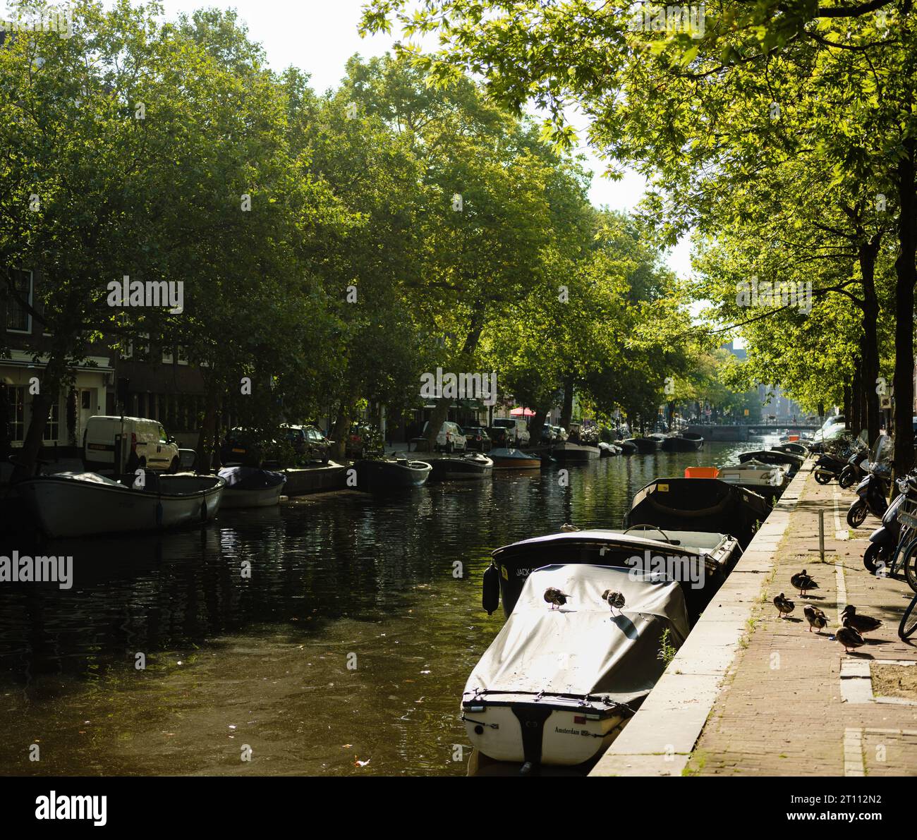 A picturesque view of Canals in Amsterdams city centre Stock Photo - Alamy