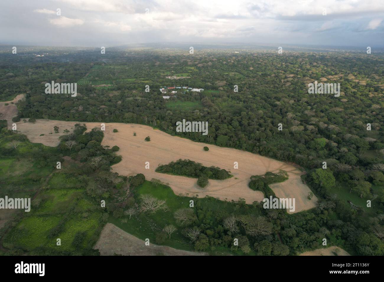 Aerial view green fertile farmland hi-res stock photography and images ...