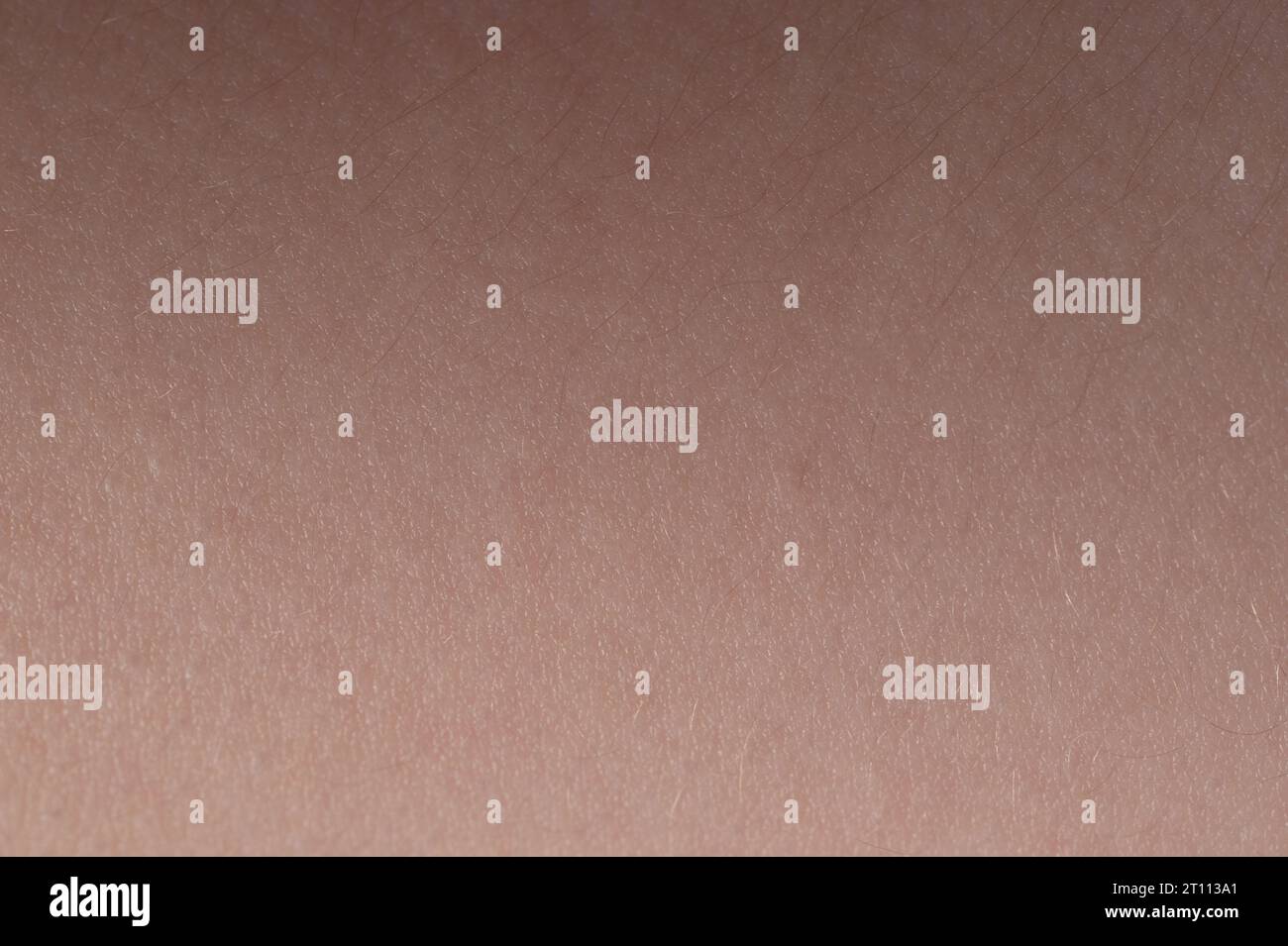 Detailed human skin with tiny hairs macro close up view Stock Photo - Alamy