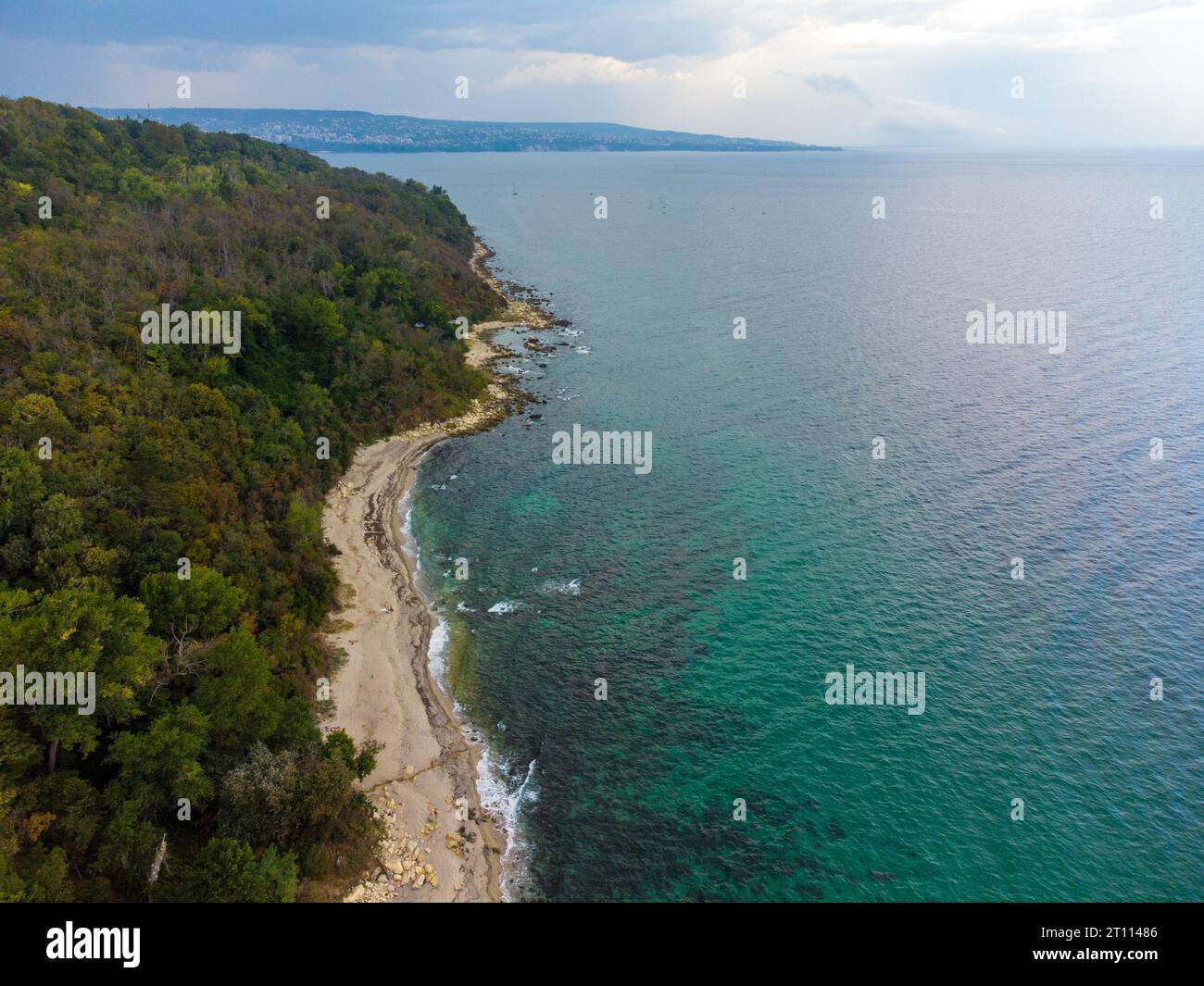 Flying tropical beach green palm hi-res stock photography and images ...