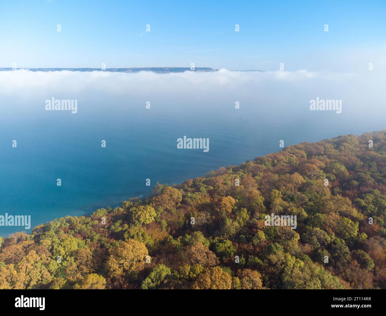 fog over the sea and forest on the shore aerial top view Stock Photo ...