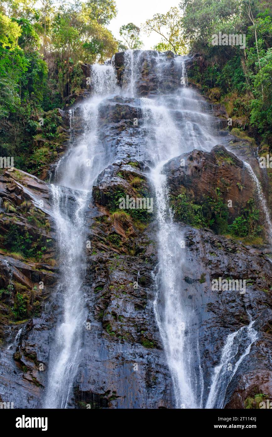 Waters from a waterfall running down a large rock through rainforest ...