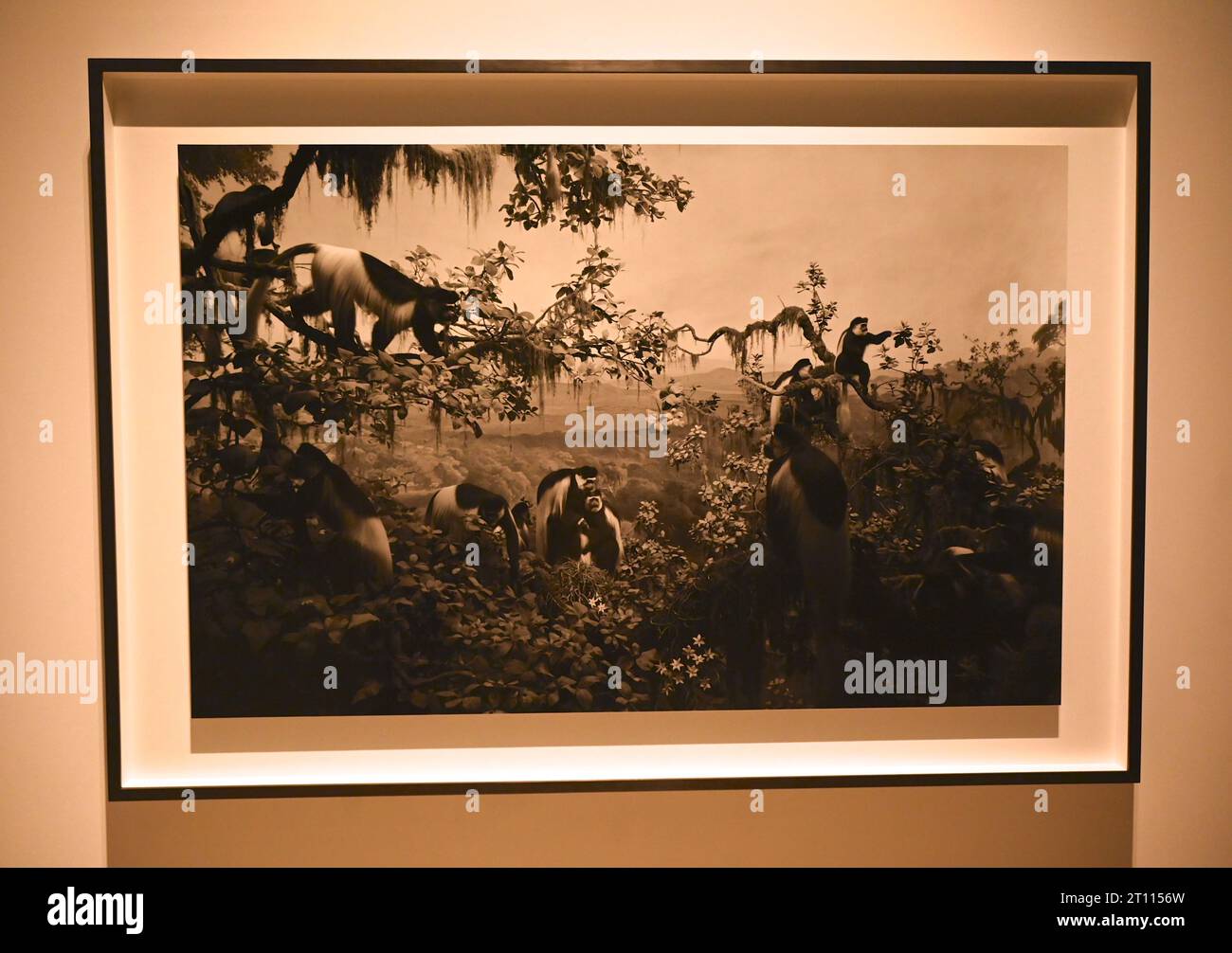 Over the past 50 years, Sugimoto has created pictures which are ...