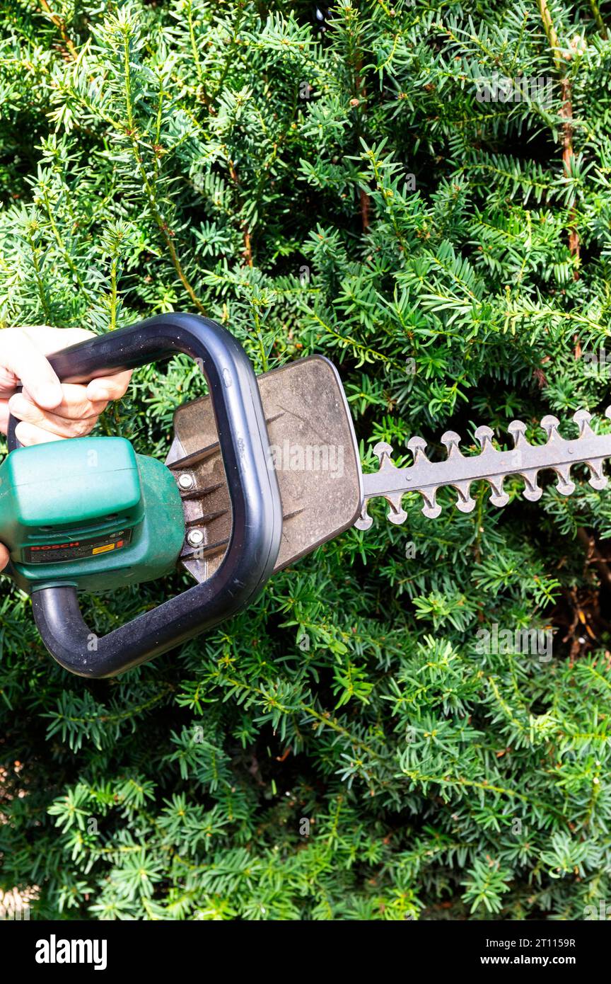 Vogel gartenarbeit hi-res stock photography and images - Alamy