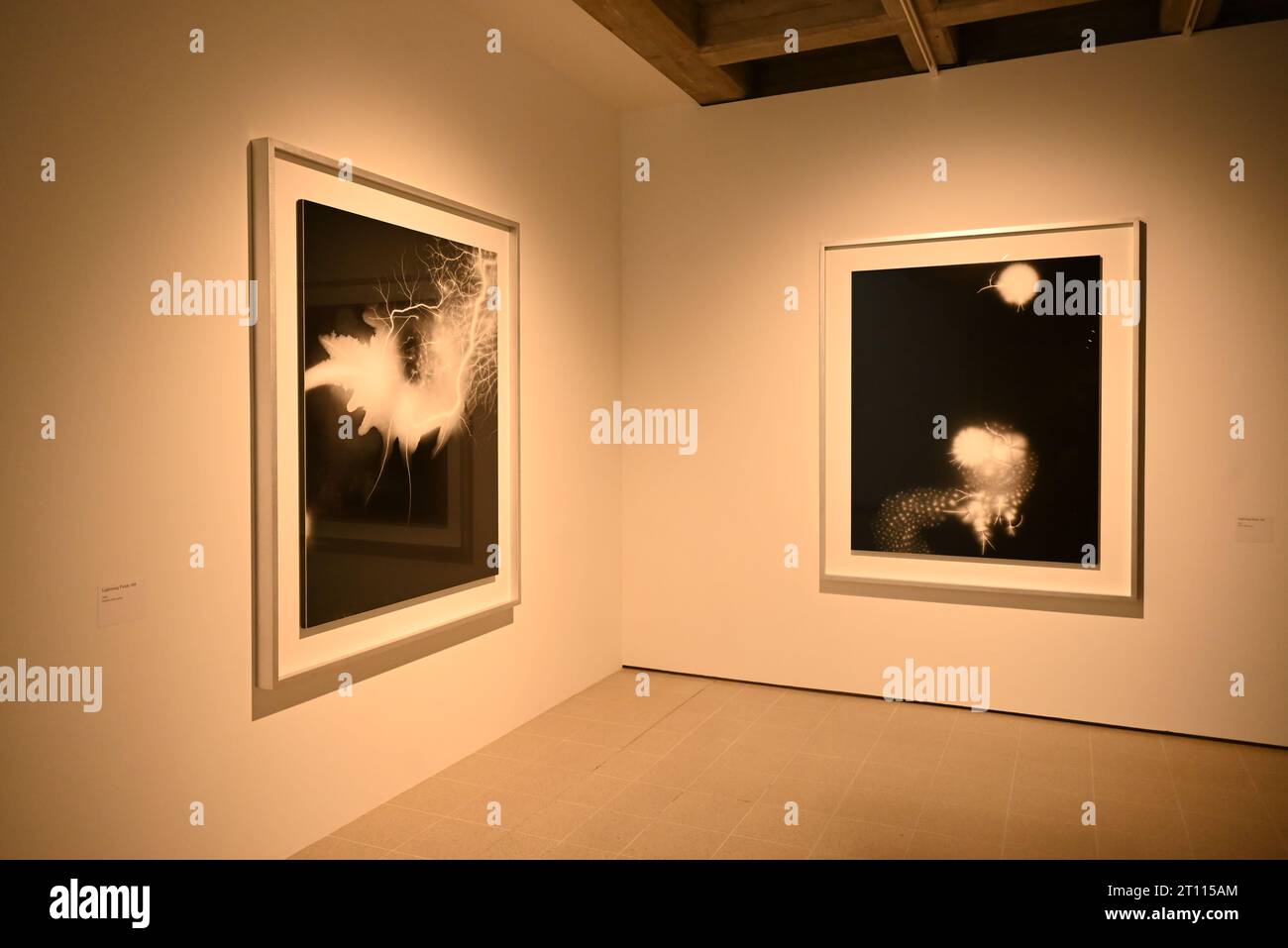 Over the past 50 years, Sugimoto has created pictures which are ...