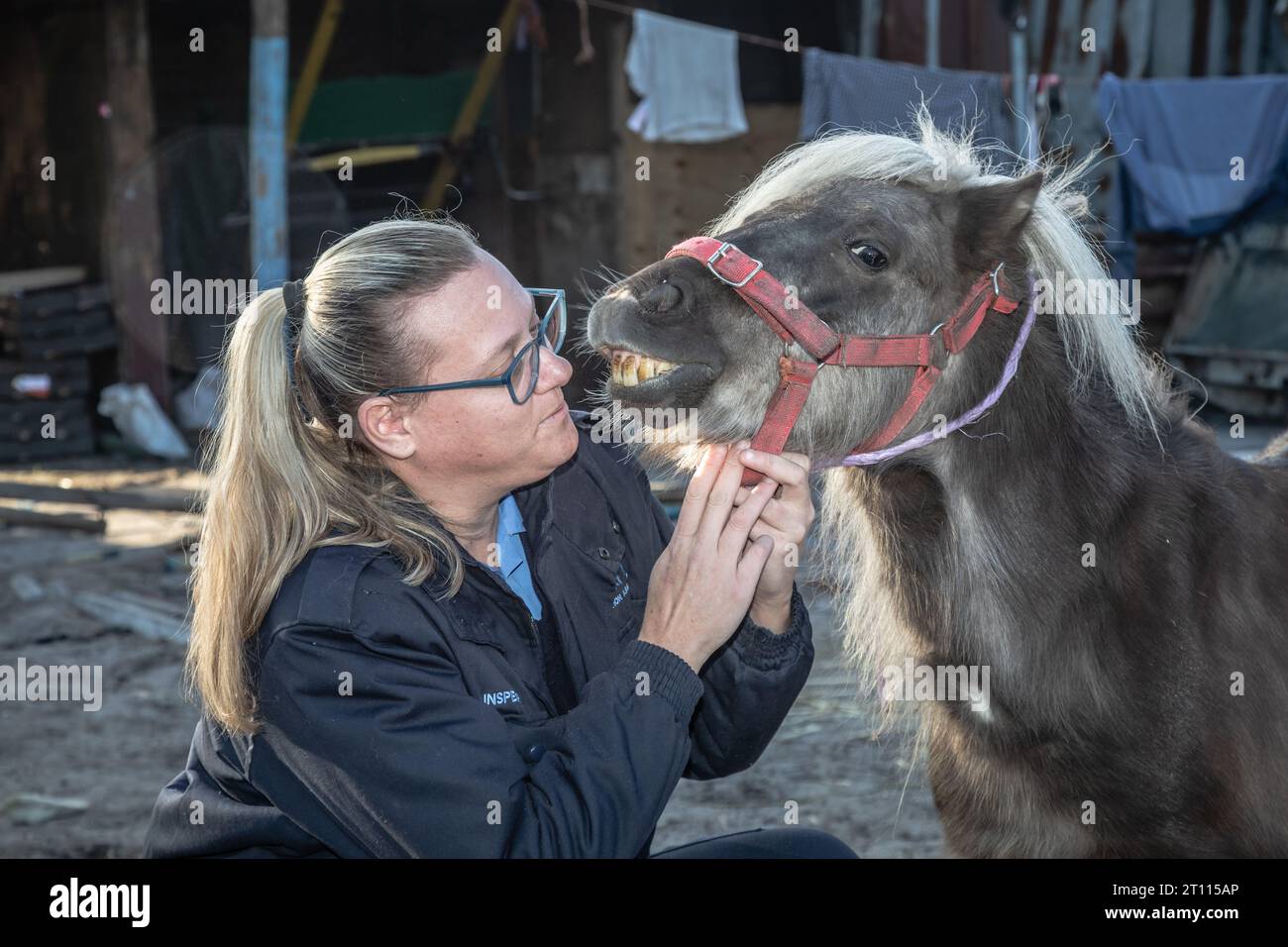A female animal welfare inspector shares a heartwarming moment of ...