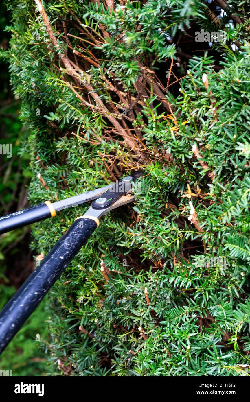 Hochhecken hi-res stock photography and images - Alamy