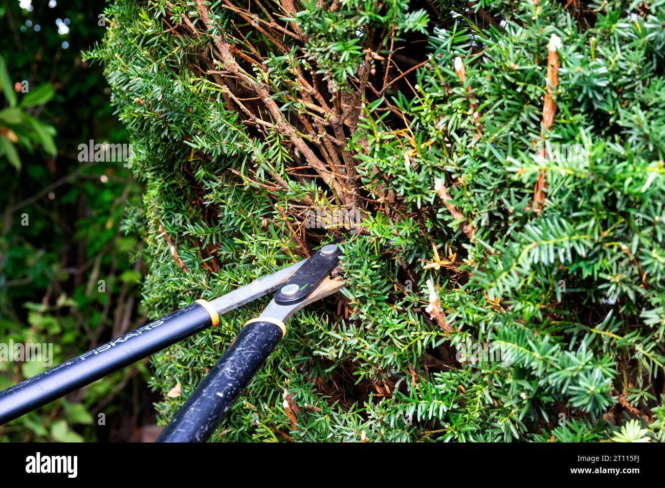 Hochhecken hi-res stock photography and images - Alamy