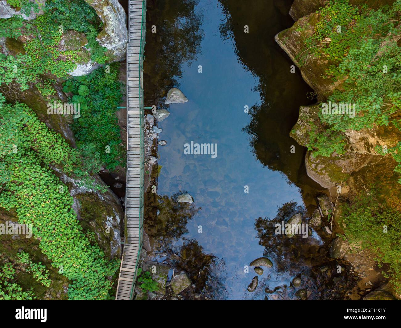 Aerial top view of a stream in the forest in Rhodope Mountains near the ...