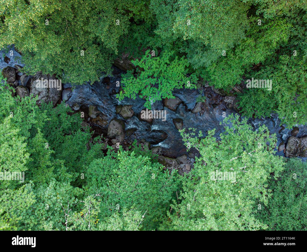 Aerial top view of a stream in the forest in Rhodope Mountains near the ...