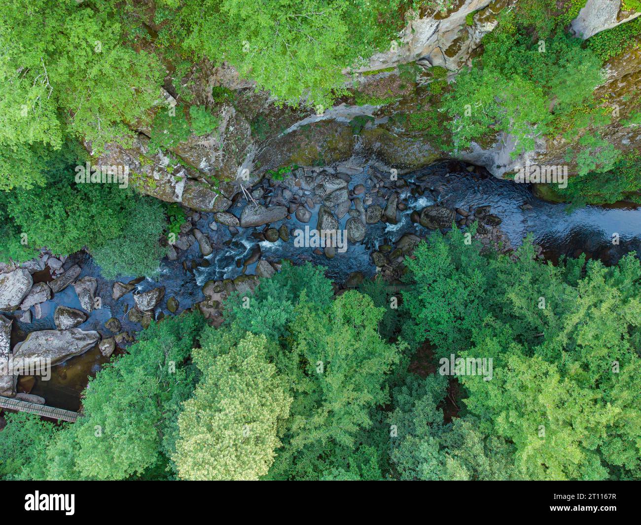 Aerial top view of a stream in the forest in Rhodope Mountains near the ...