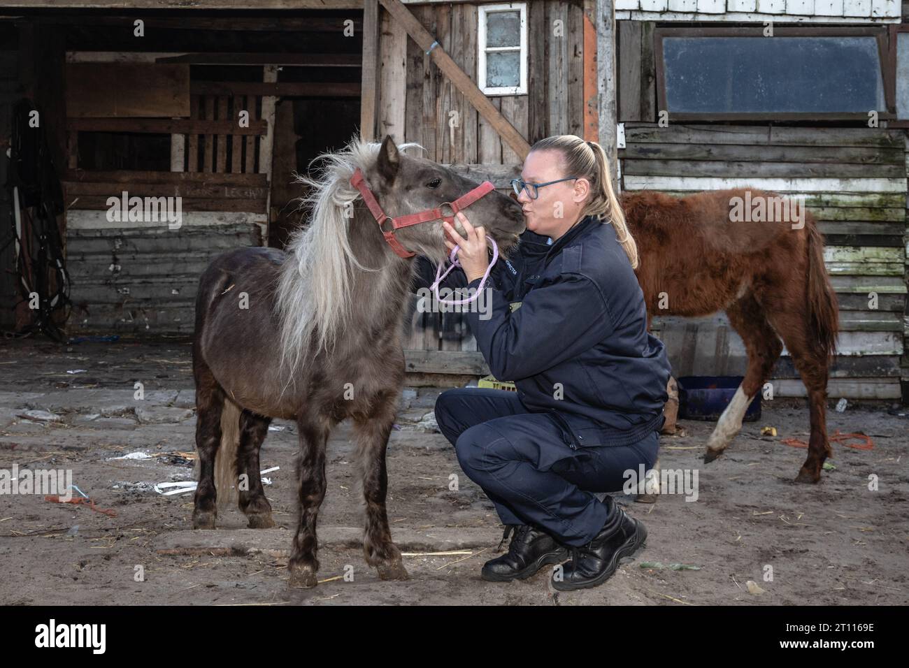 A female animal welfare inspector shares a heartwarming moment of ...