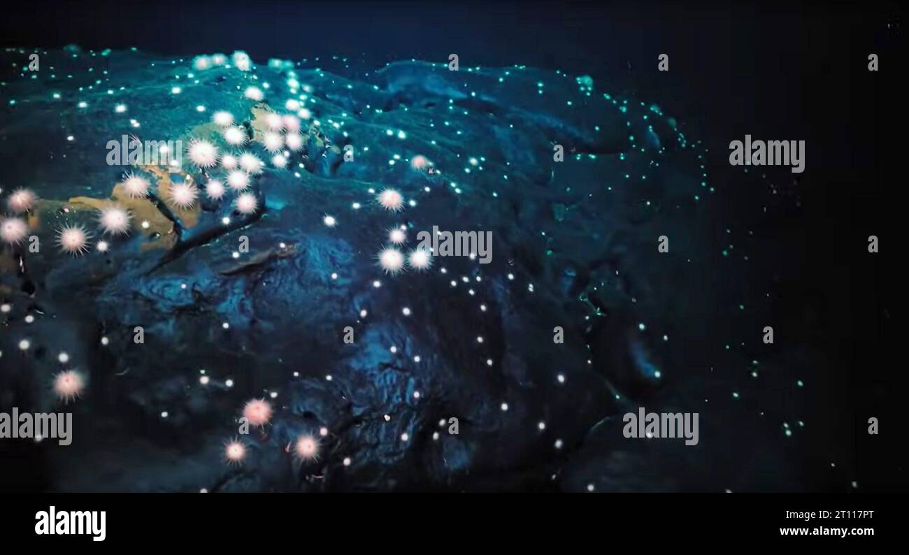 DEEP RISING, life in the deep oceans, 2023. © Abramorama /Courtesy ...