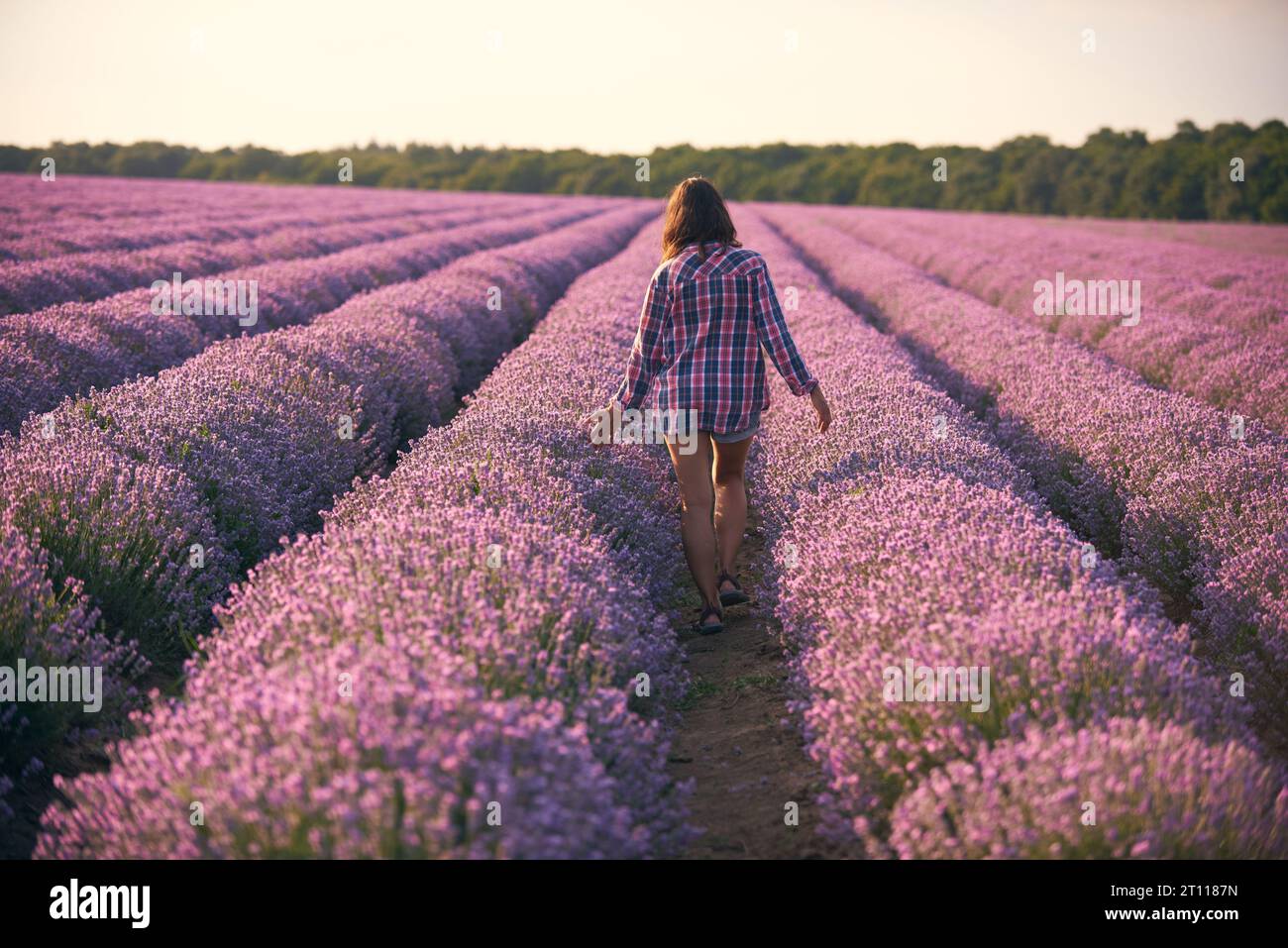 Back side of woman hi-res stock photography and images - Alamy