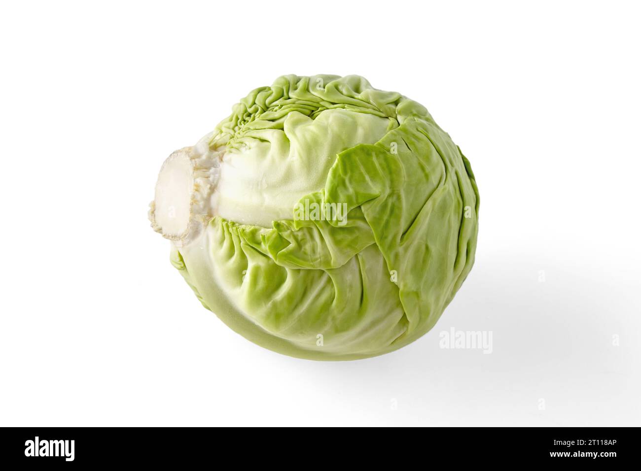 A head of fresh white cabbage isolated on a white background. Beautiful ...