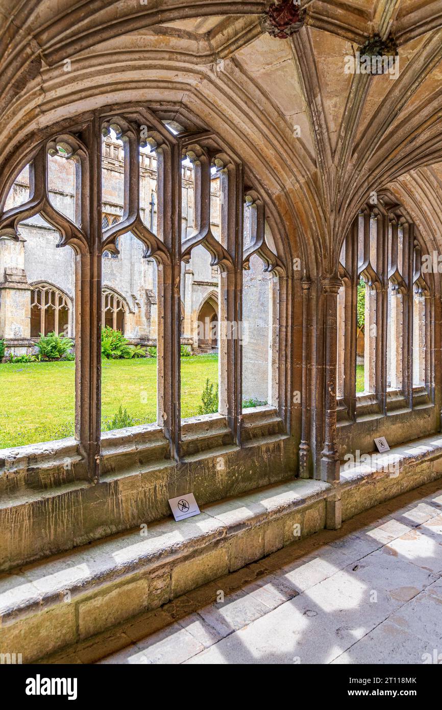 The garth viewed from the cloisters at Lacock Abbey, Lacock, Wiltshire ...