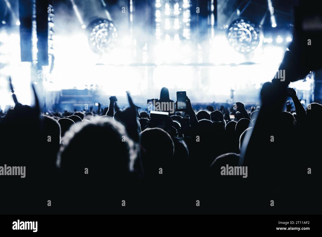 Performance of a popular group. The crowd with raised hands against the ...