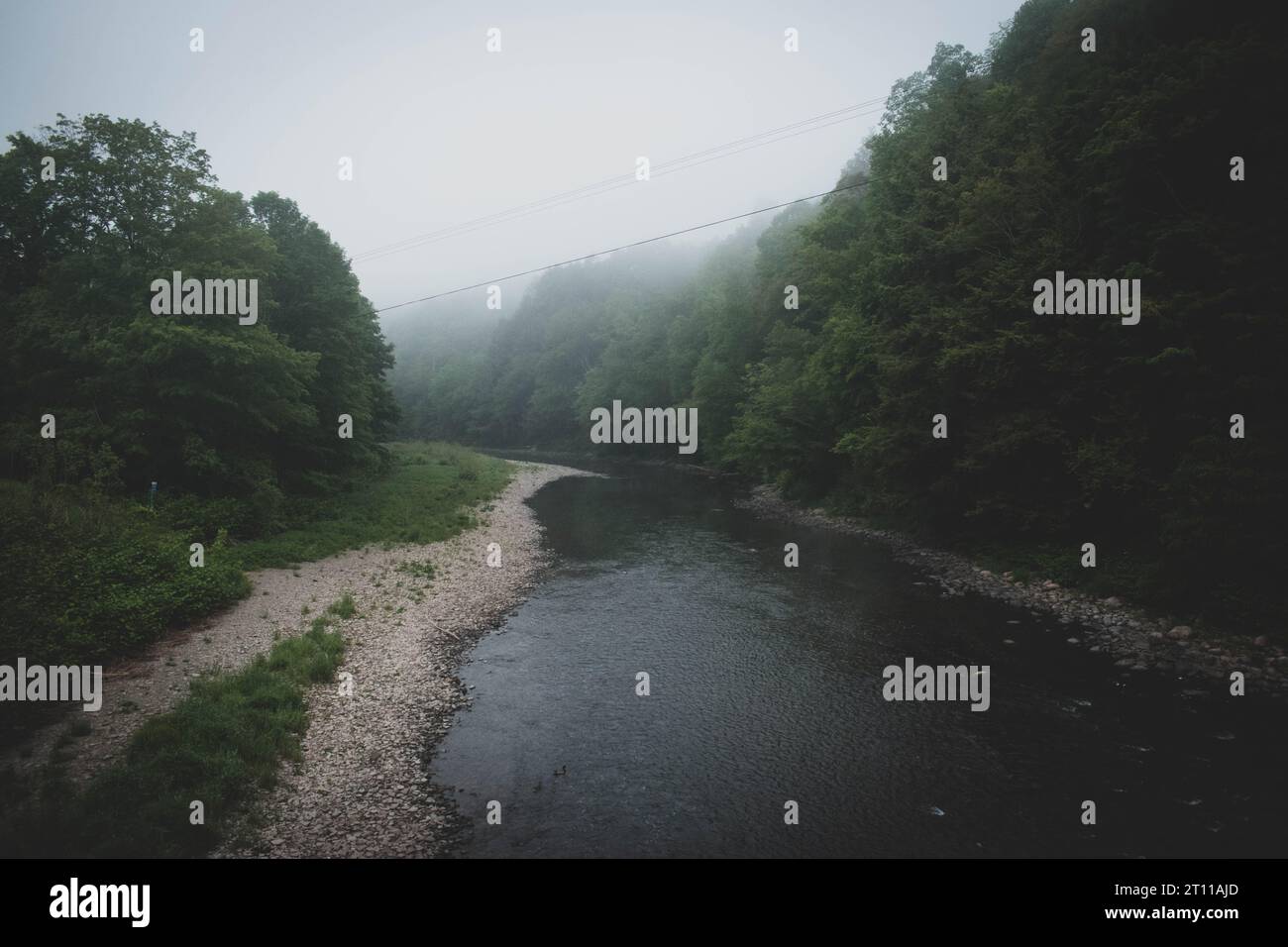 The River Bank Stock Photo - Alamy