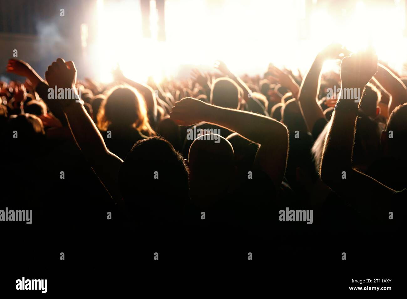 Happy people crowd with raised hands on a dance floor during a concert ...