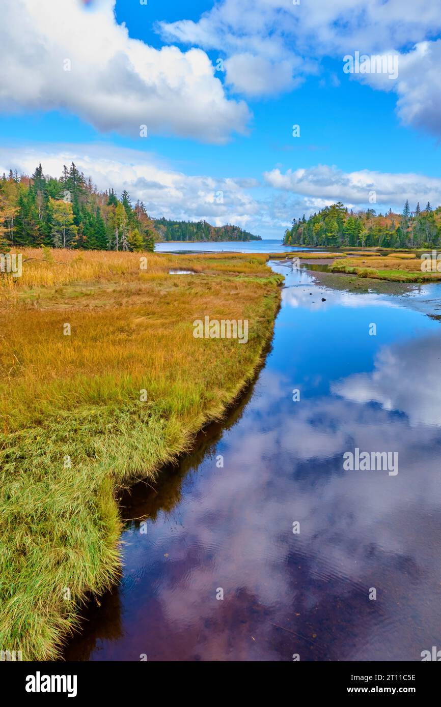 Tidal salt marsh at North Gut Cape Breton Island Photographed in the ...