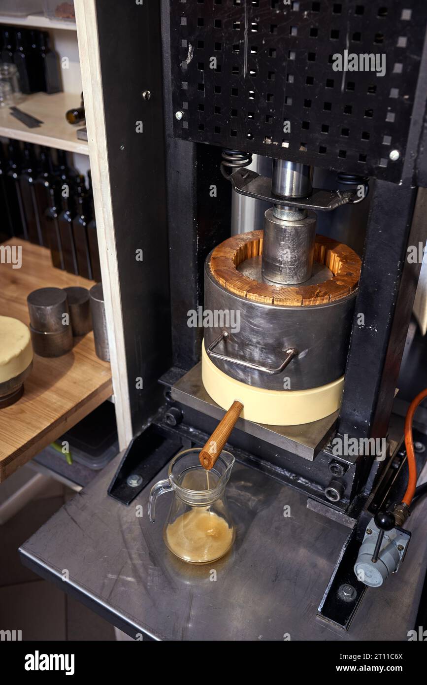 Local small seed oil production. Fresh extra virgin linseed oil ...