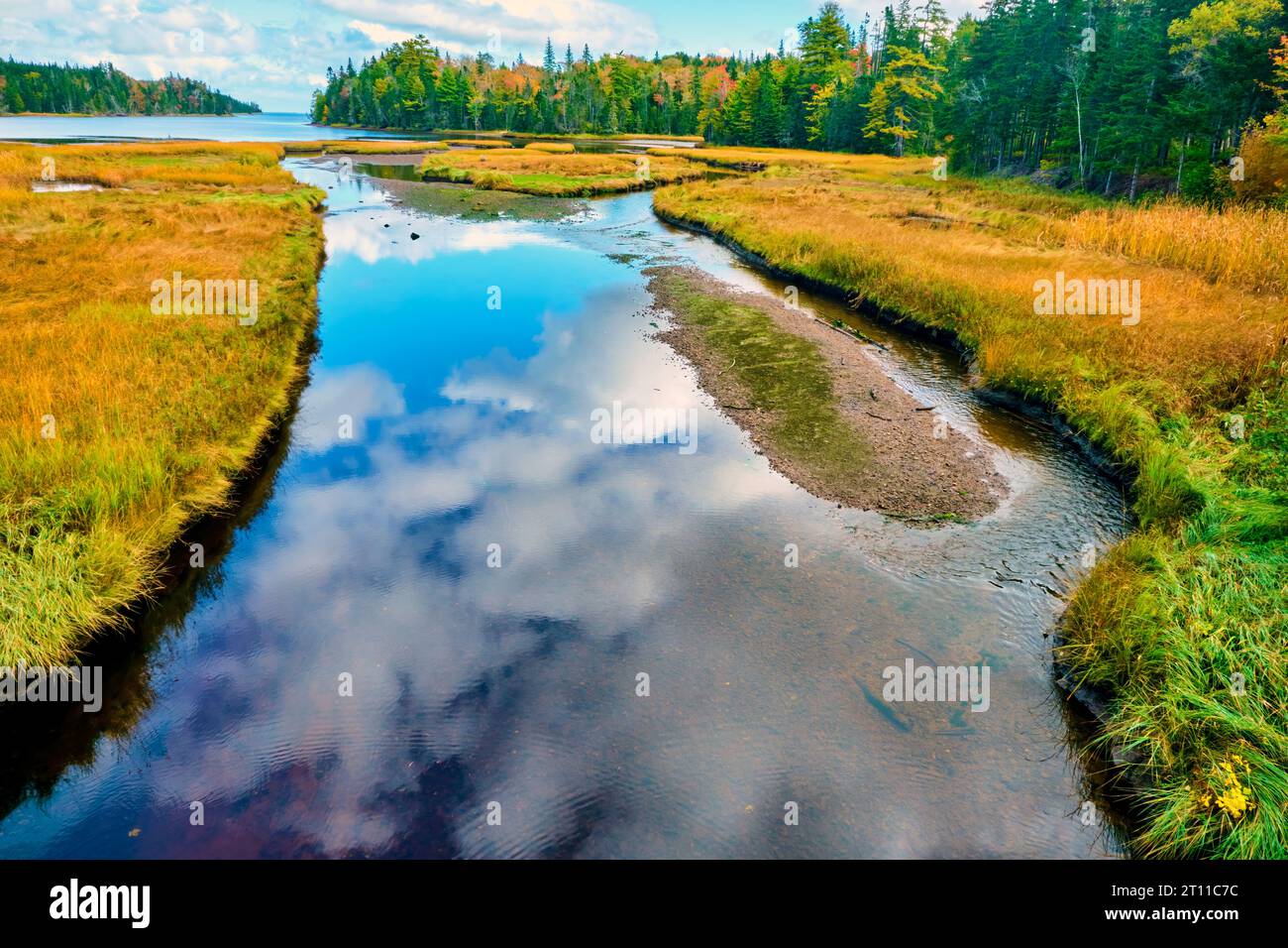 Tidal salt marsh at North Gut Cape Breton Island Photographed in the ...