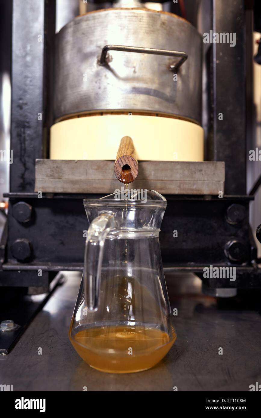 Local small seed oil production. Fresh extra virgin linseed oil ...