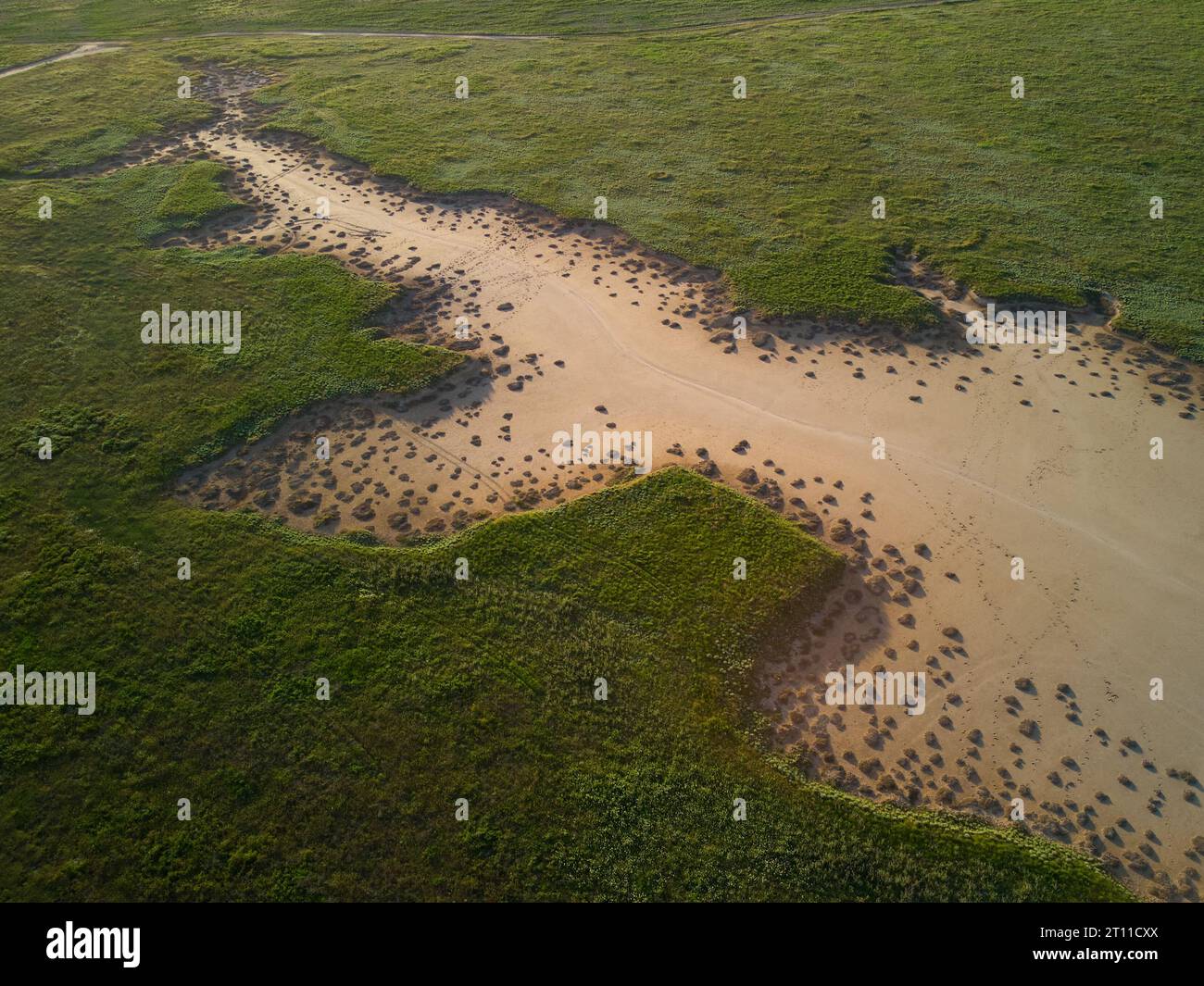 aerial top view of green grass around a sandy ravine formed by rain ...