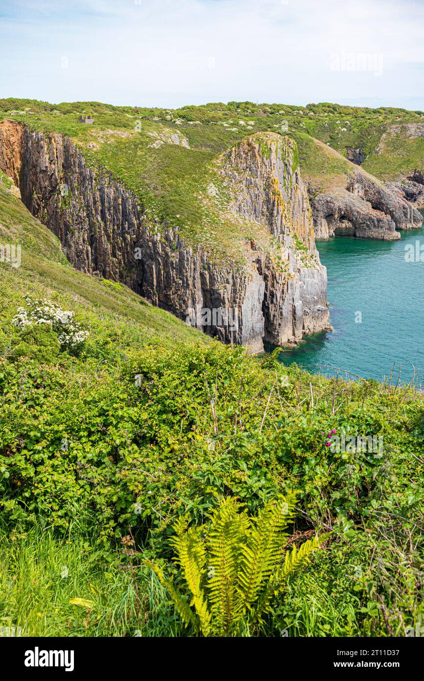 A view of the cliffs towards Lydstep Point from Skrinkle Haven, Lydstep ...
