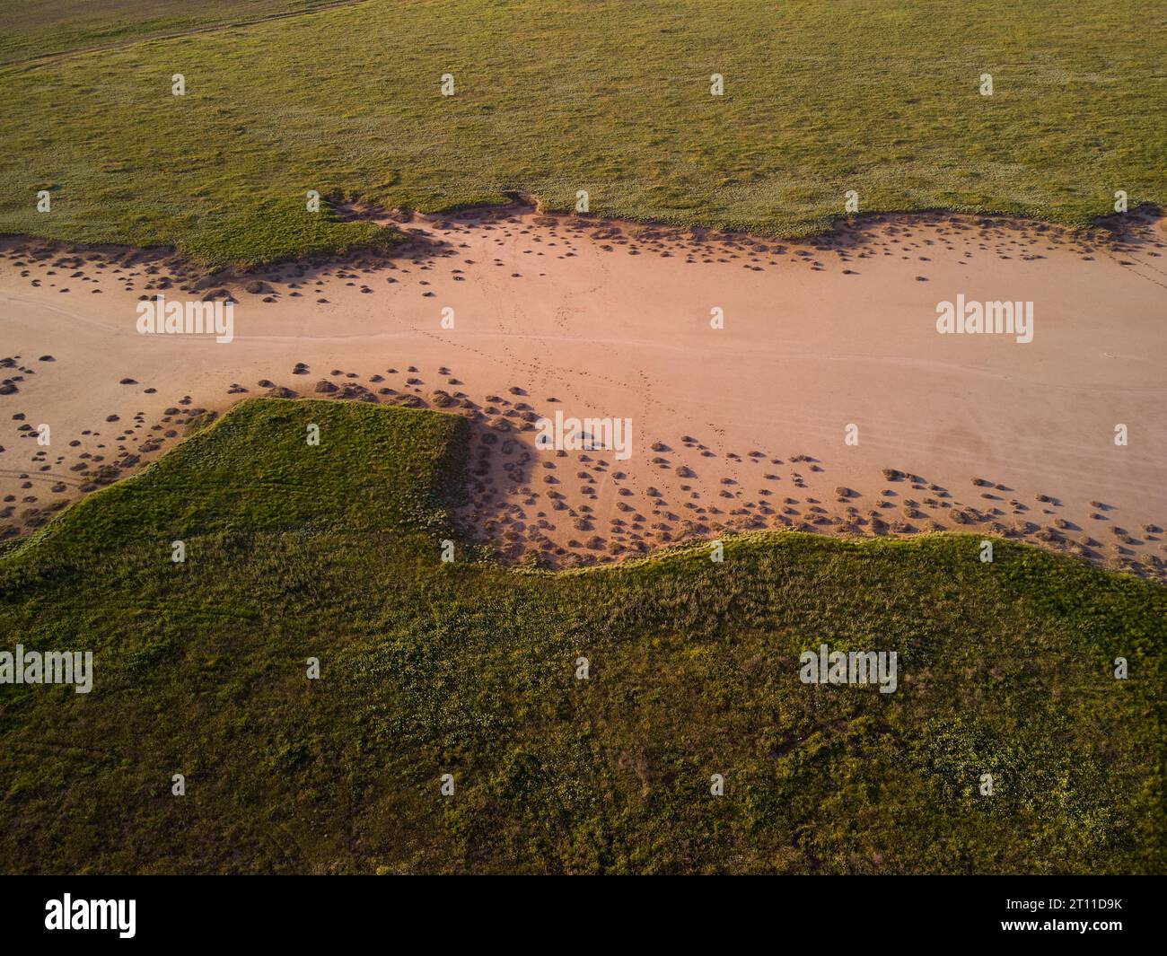 aerial top view of green grass around a sandy ravine formed by rain ...